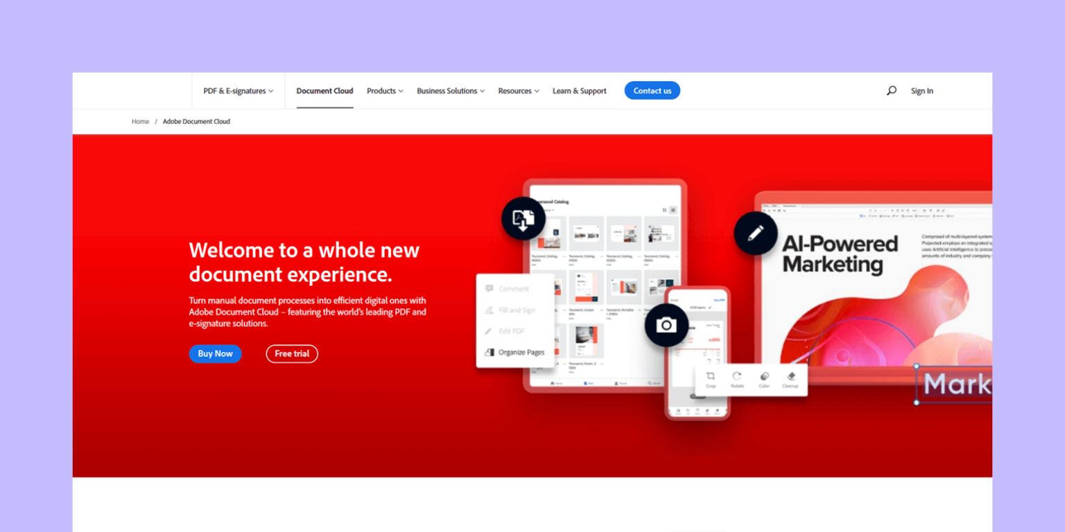 Business Document Storage: Best Ways to Store Online